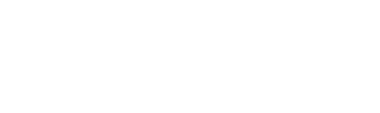 Fluency Hub Learning